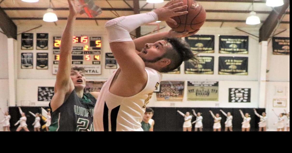 Hamilton, Bell and Busby top CVN all-county hoops squad | Sport ...