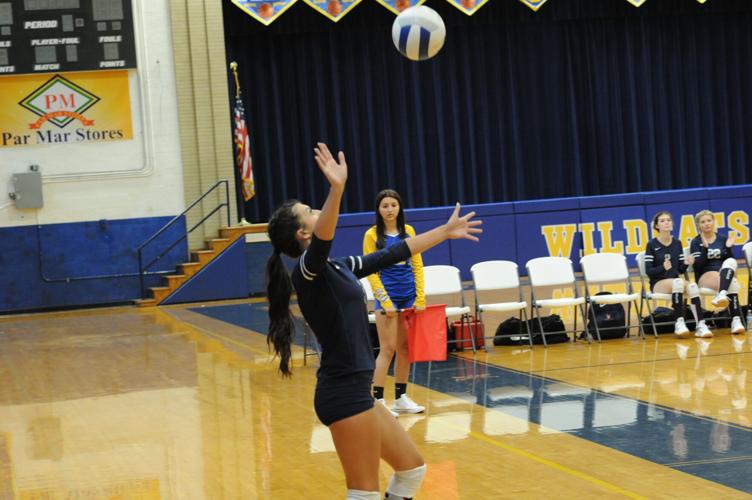 Logan volleyball sweeps tri-match with Man and Chapmanville | Sports ...