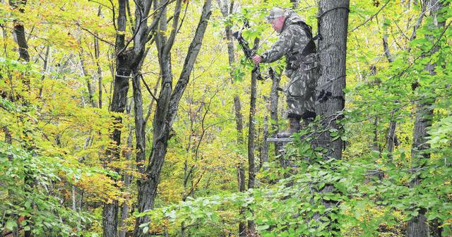Tree stand safety tips | News | loganbanner.com