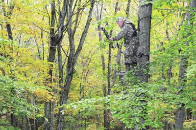 Tree stand safety tips | News | loganbanner.com