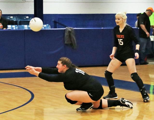 Photos: Chapmanville wins sectional volleyball crown | Photos ...