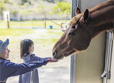 Jasper Ridge Farm offers unique animal experiences for people in need ...