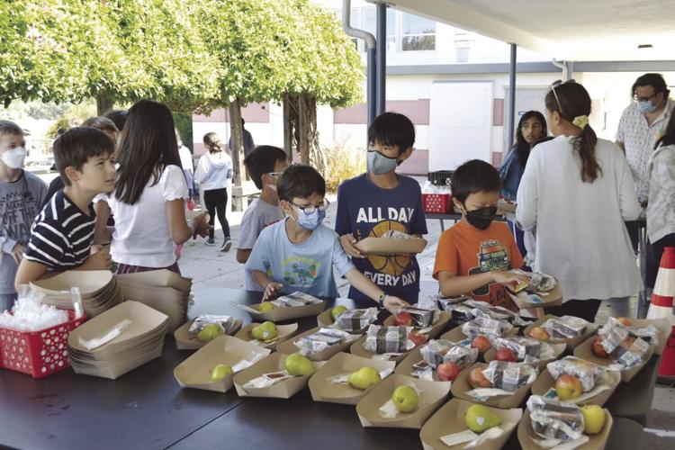 Everything you need to know about Measure A, LASD’s parcel tax renewal ...