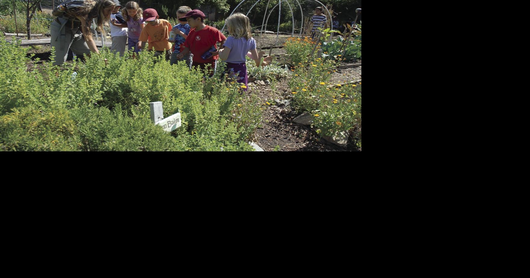 100 years of Hidden Villa: Looking back and ahead | News ...