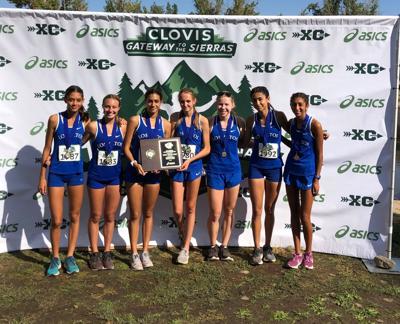 Prep Sports Summary: Los Altos girls dominate meets | Sports ...