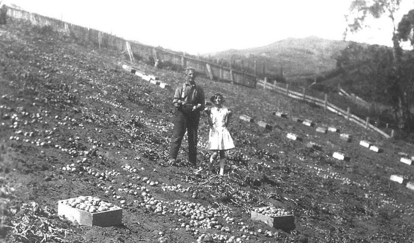 Nella Grace Micheletti Lera | Obituaries | losaltosonline.com