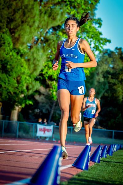 Section sensations: Locals shine at CCS track meet | Sports ...