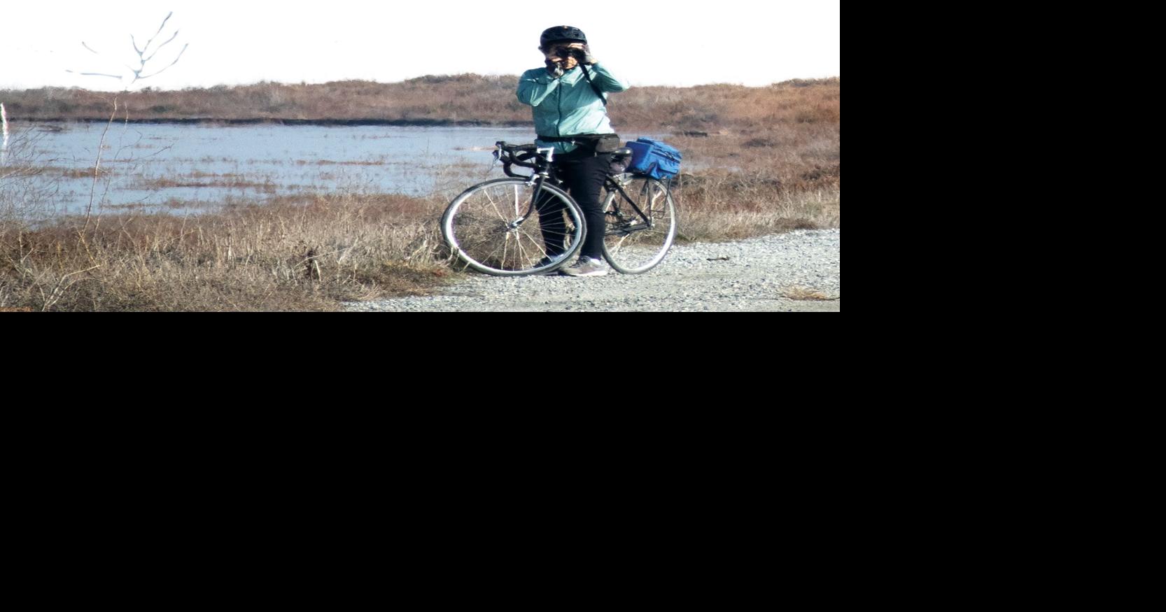 The great outdoors: Midpen’s open-space preserves offer natural wonders ...