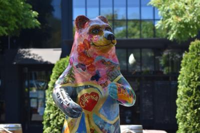 New public art project bears down on city streets | News ...