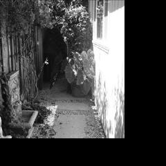 The side yard escape: How to create a side yard that's both beautiful ...