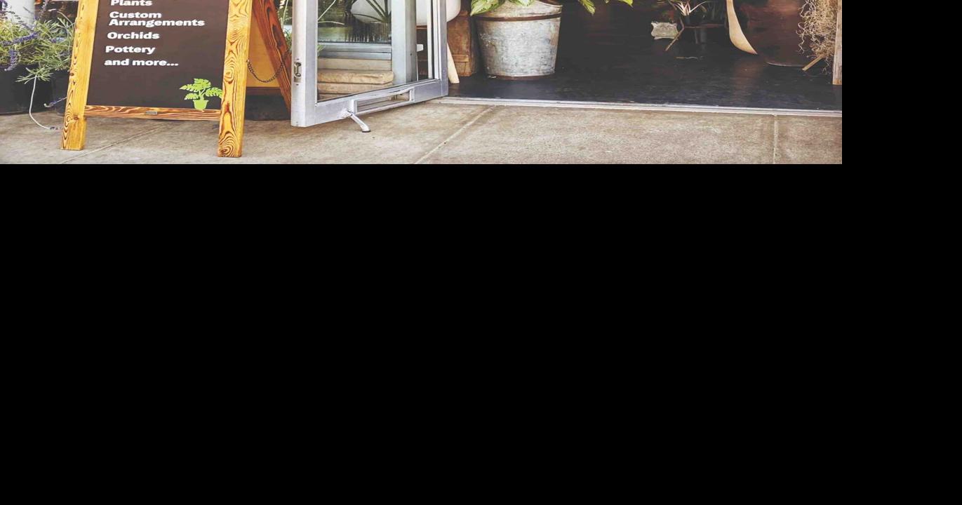 Chinelo Design set to undergo interior redesign | Business ...