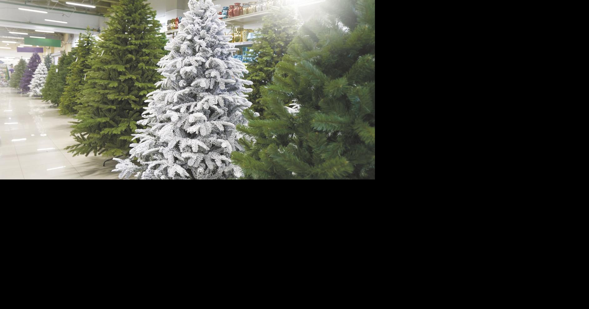 Scam alert: Tips for buying an artificial Christmas tree | Business ...