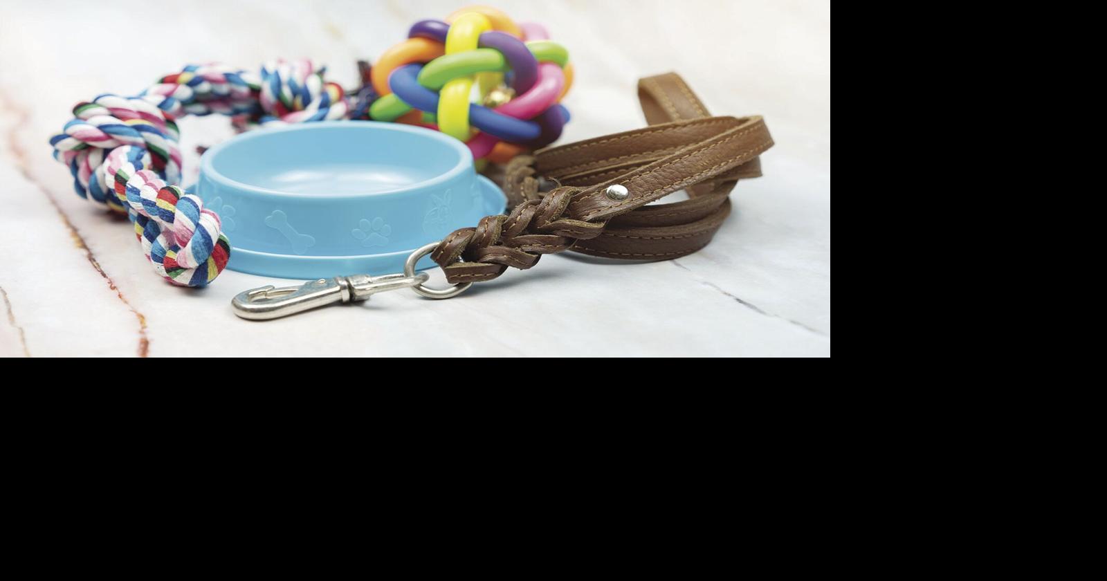 Conquering Clutter: Organizing pet supplies for better care of your ...