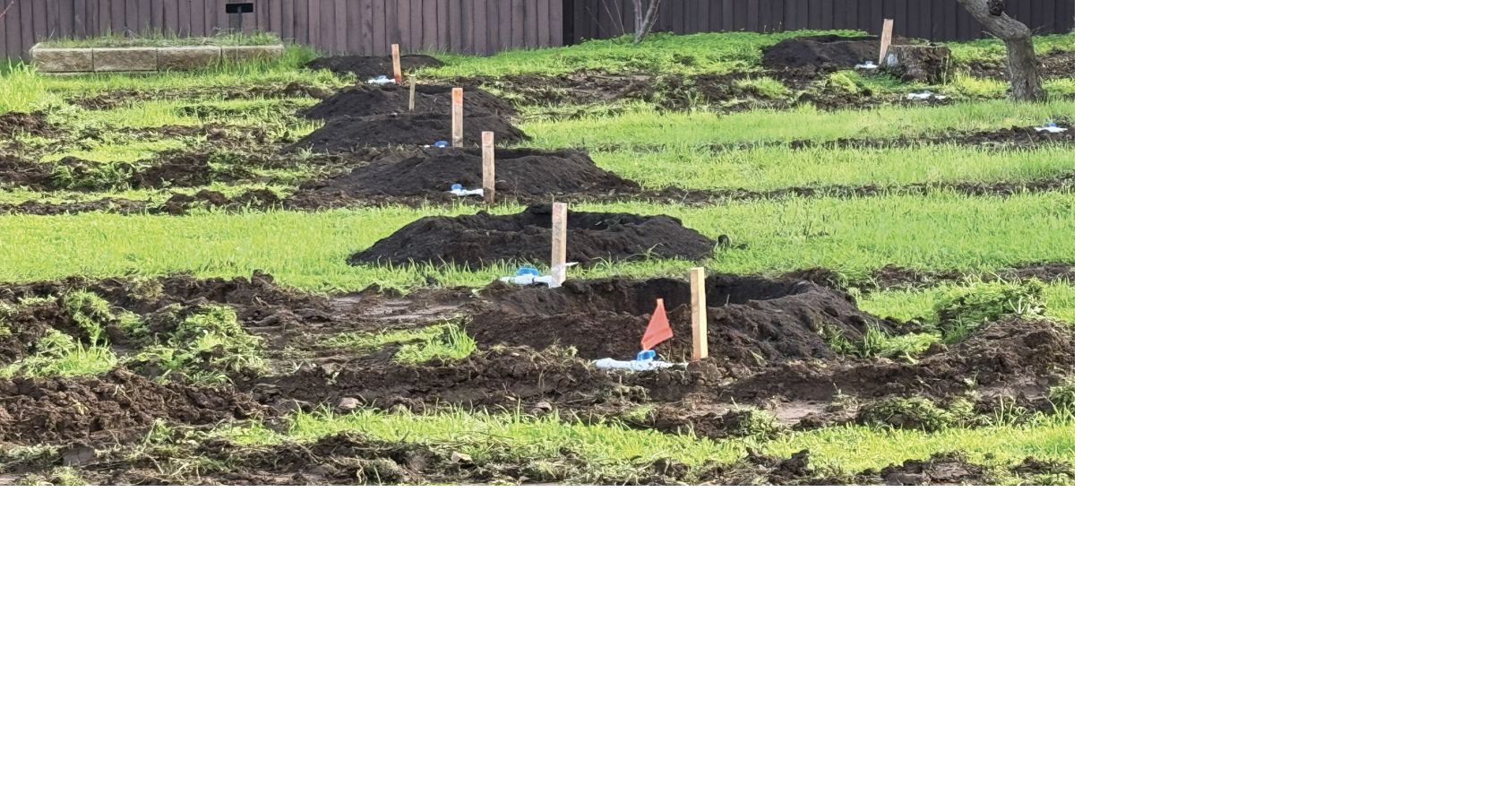 Heritage orchard to grow by 300 apricot trees as city, museum ready ...