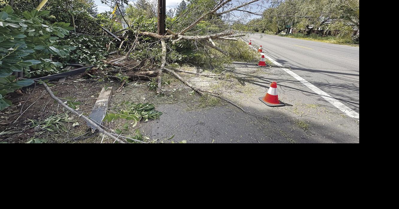 Saturday hit-and-run collision in Los Altos causes power outages ...