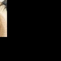 Richard Patrick Nuzzo | Obituaries | losaltosonline.com