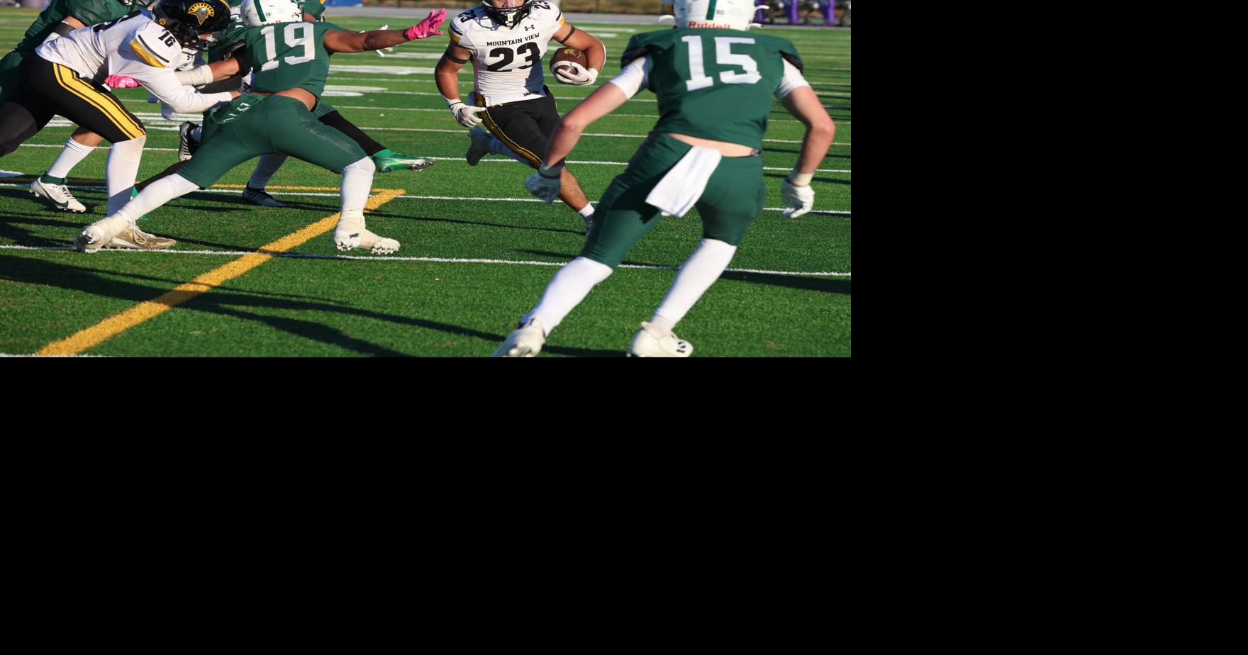 Mountain View football falls to Palo Alto in CCS final | Sports ...