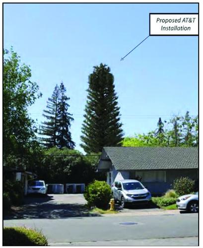 Faux pine tree-cell tower gets city nod | News | losaltosonline.com