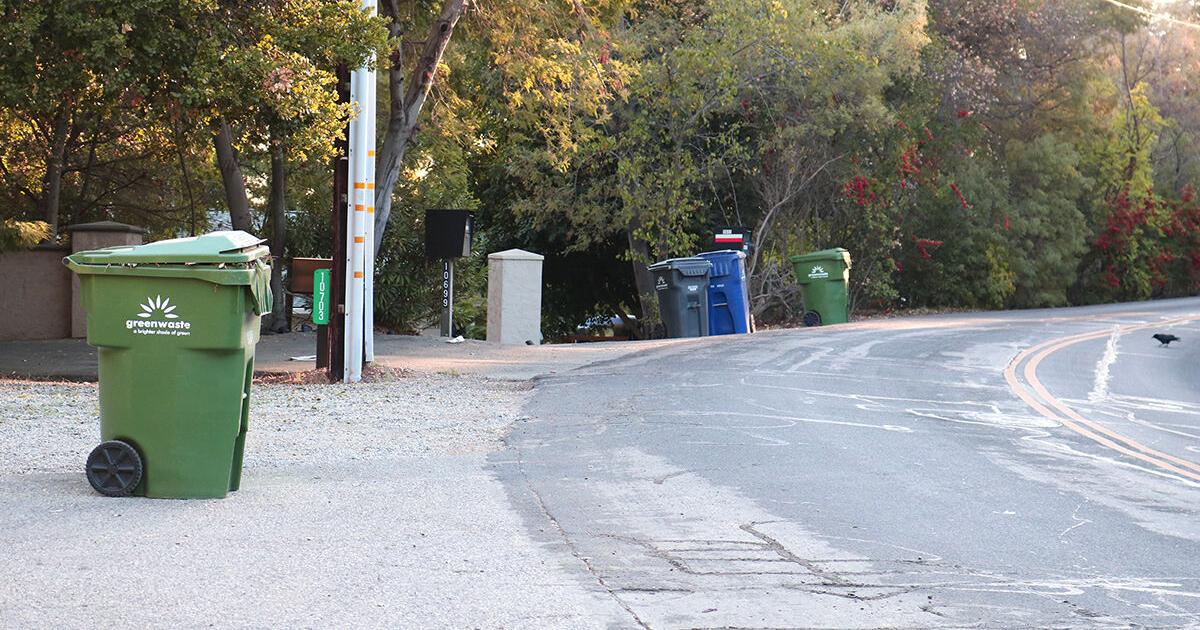 Is Hills garbage contract leading to ‘bin blight’? | News ...
