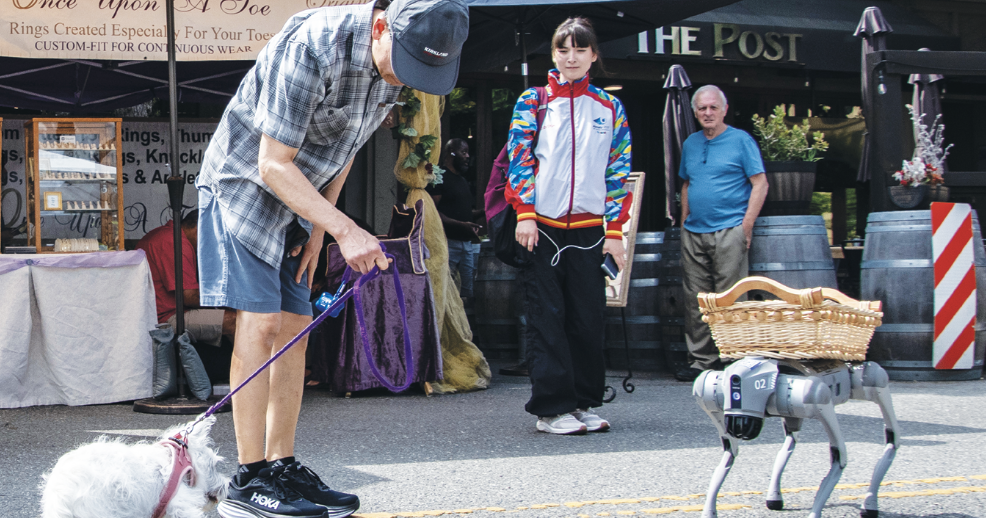 Festival proves to be a mixed bag for merchants | Business ...