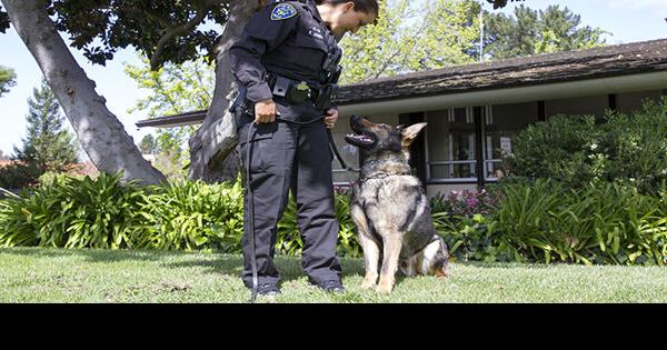 Working pup: Los Altos Police Department welcomes new K-9 to the force ...