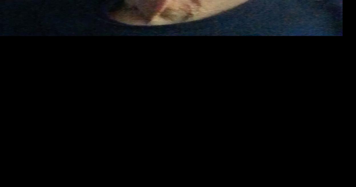 Robert Sheperd (Bob) Pearson | Obituaries | losaltosonline.com