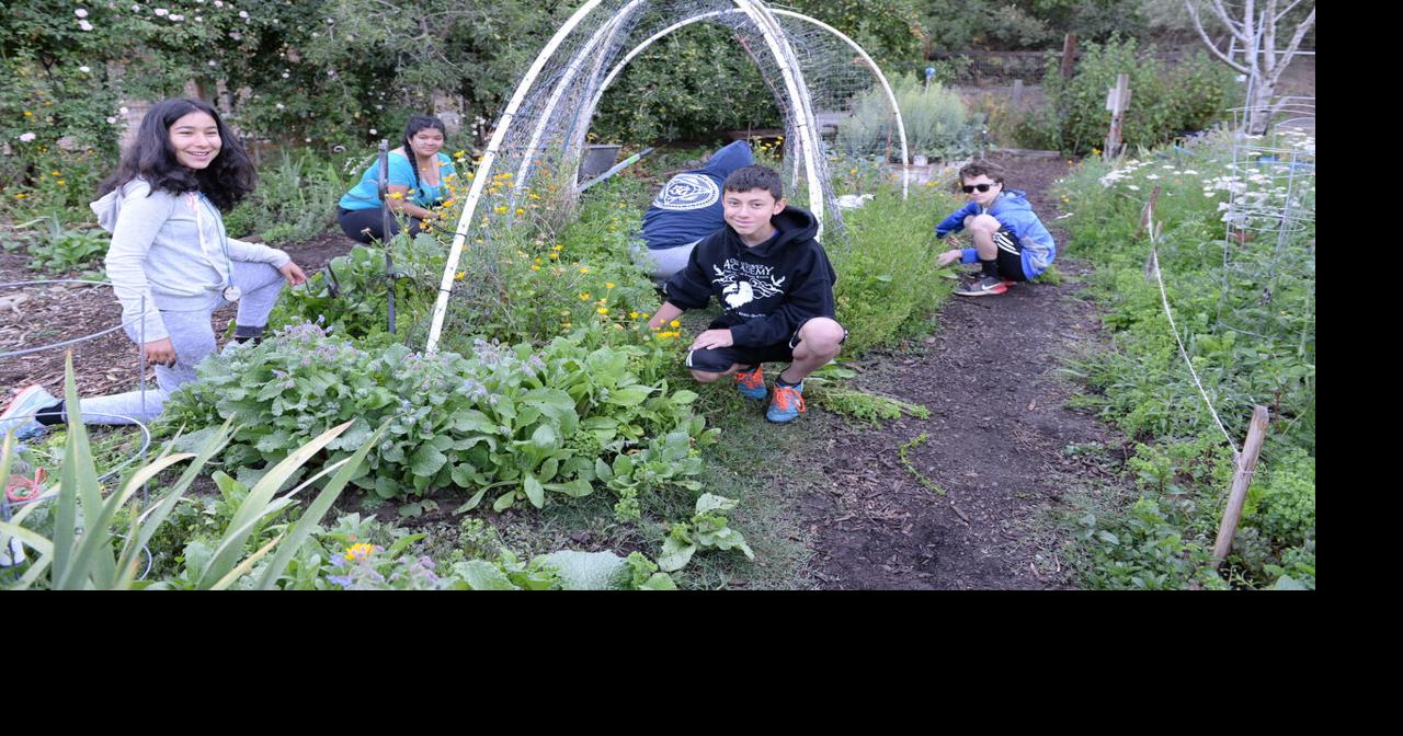 Hidden Villa Summer Camps: Providing outdoor experiences | Community ...