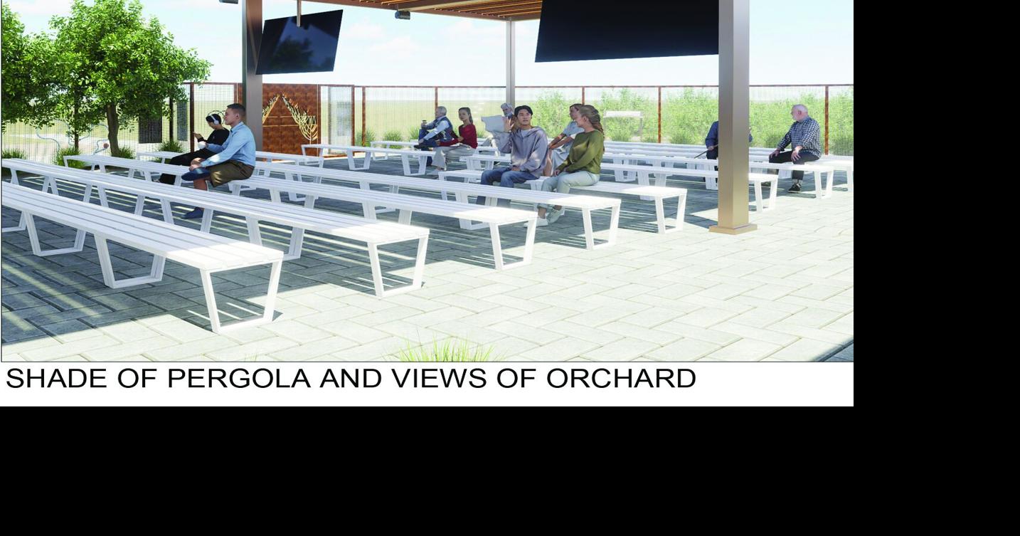 Library courtyard project moves forward over orchard concerns | News ...
