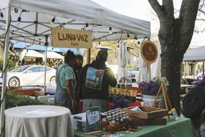 Luna Vez Farm: Small Los Altos Hills farm set to expand | Business ...