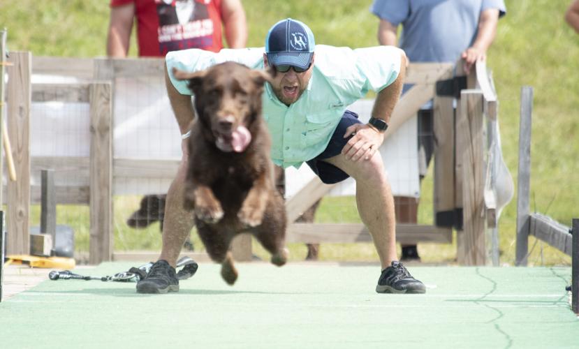 Photos: DockDogs make a splash with national qualifier event ...