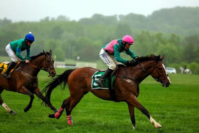 100th running of Virginia Gold Cup set for May 3 at Great Meadow ...