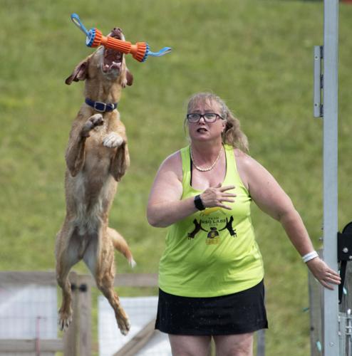 Photos: DockDogs make a splash with national qualifier event ...