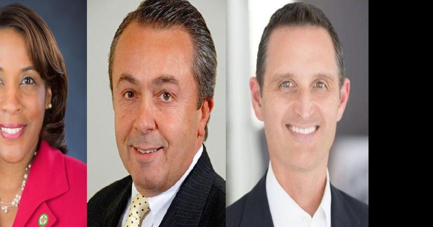 Loudoun County chairman candidate Q&A: Phyllis Randall (D), John ...