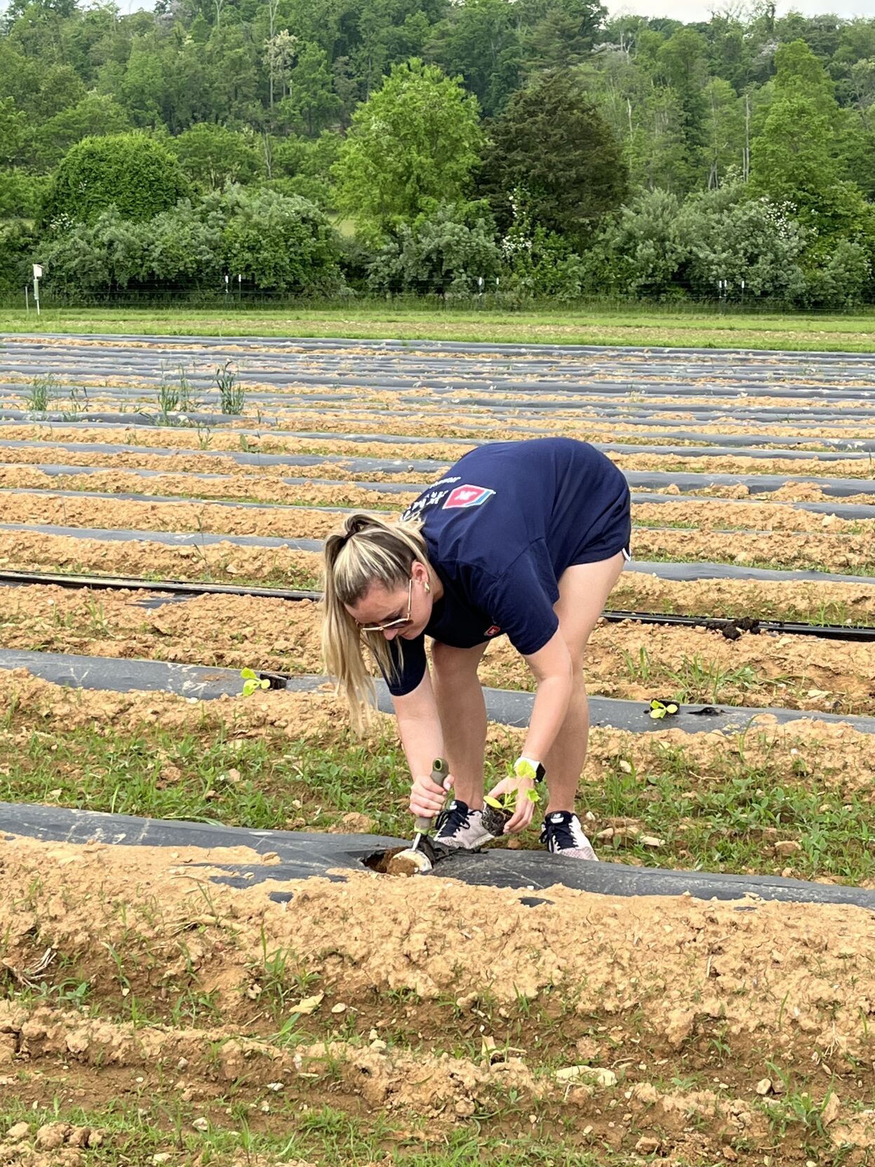 JK Community Farm launches growing season with volunteer plant-a-thon ...