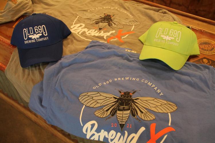 The kind of crunchy taco that will bug you; Loudoun prepares for cicada ...