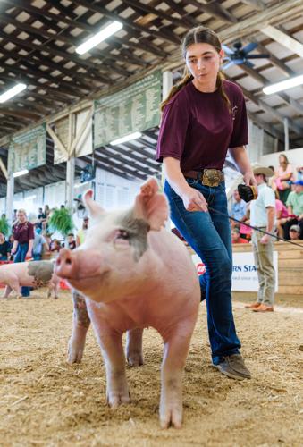 PHOTOS: Loudoun County Fair kicks off 87th year | News | loudountimes.com