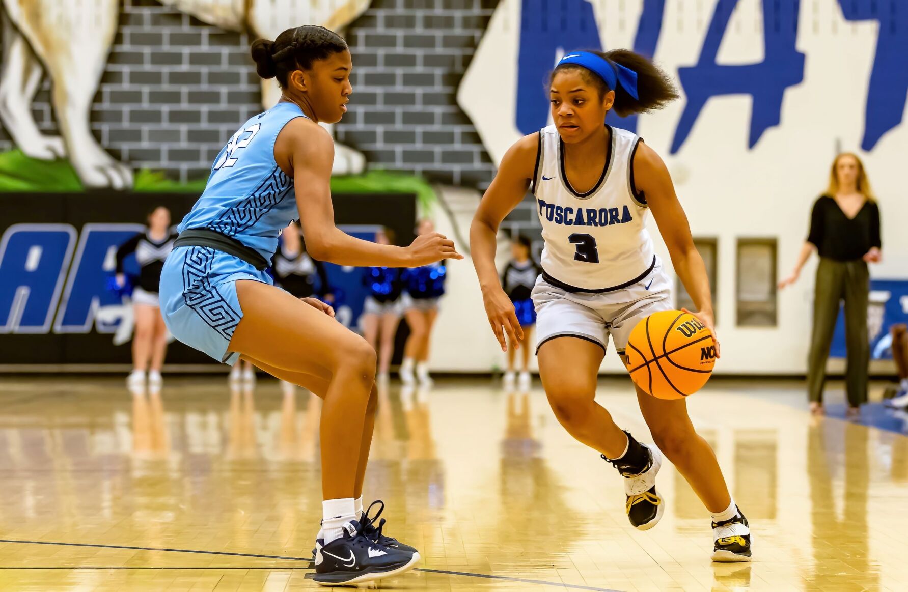 Loudoun players earn selection on VHSL all-state basketball teams ...