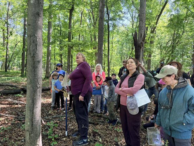 Kids connect with nature at first school field trip to JK Black Oak ...