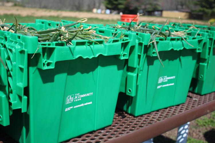 JK Community Farm sees growing demand from food pantries for locally ...