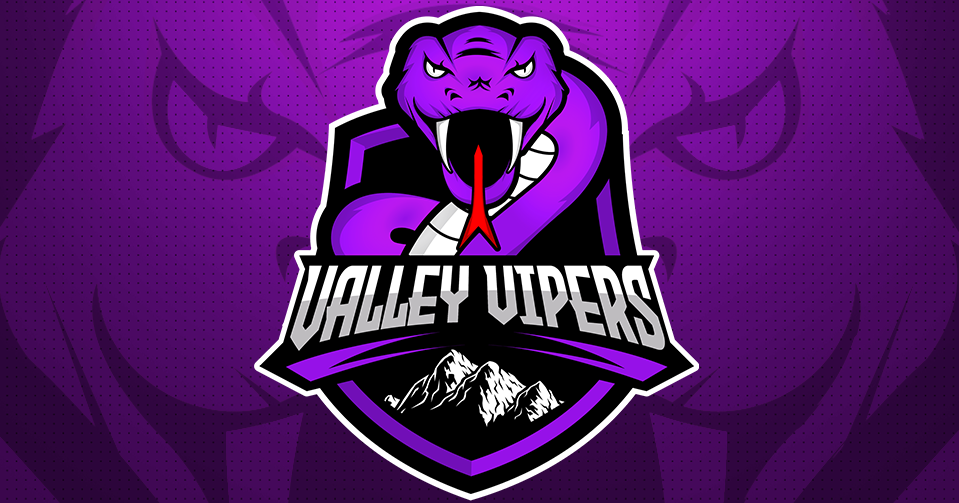 Seahawks sweep Vipers in 1st round of The Basketball League playoffs ...