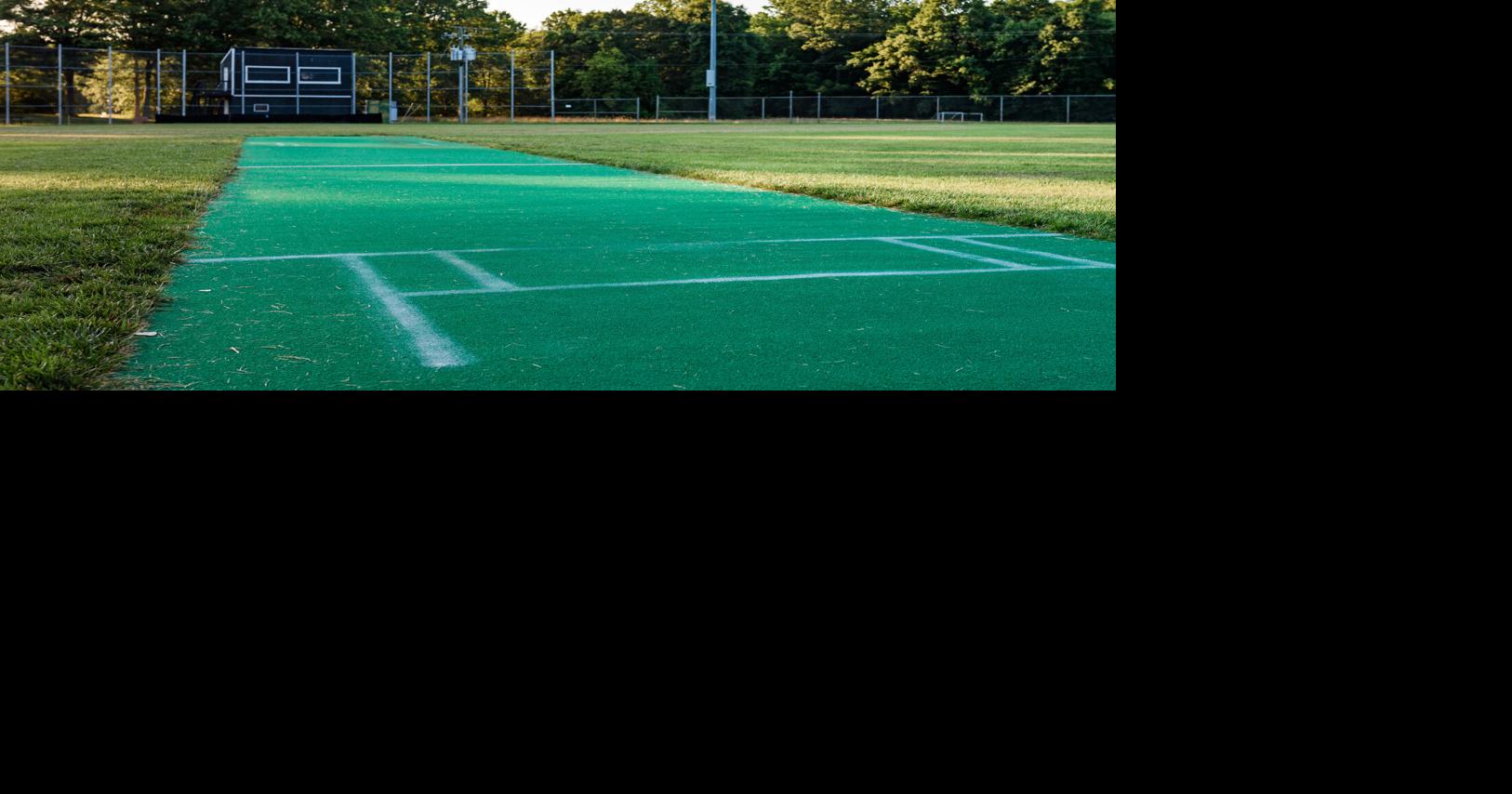 Proposal for baseball field at Mickie Gordon Park advances | Politics ...