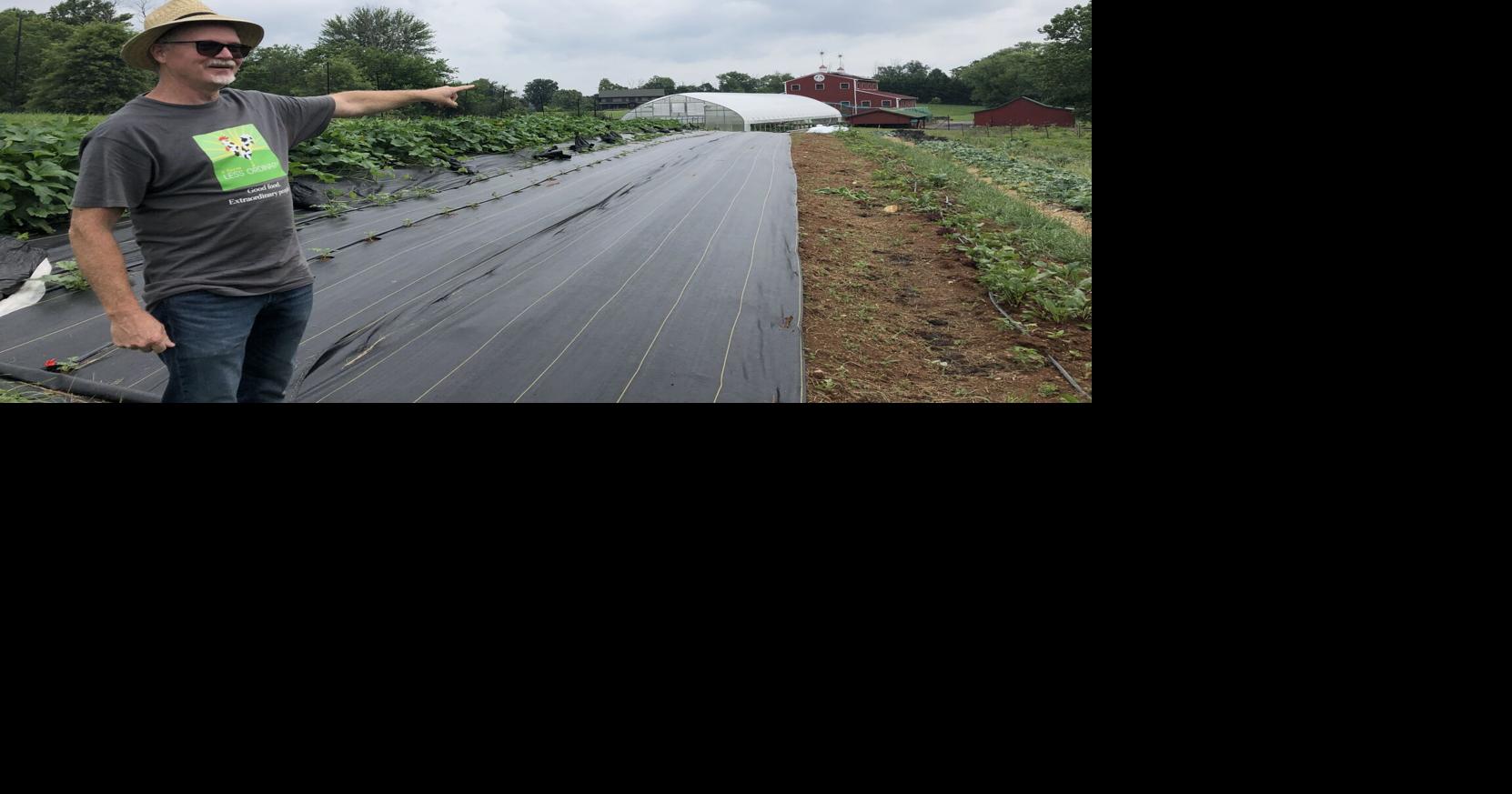 A Farm Less Ordinary prepares for annual Feast in the Field event ...