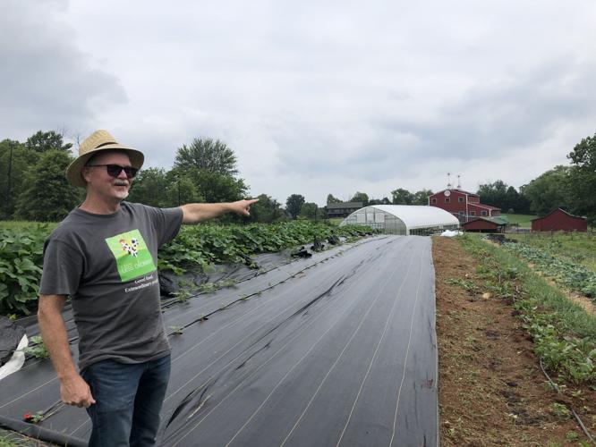 A Farm Less Ordinary prepares for annual Feast in the Field event ...