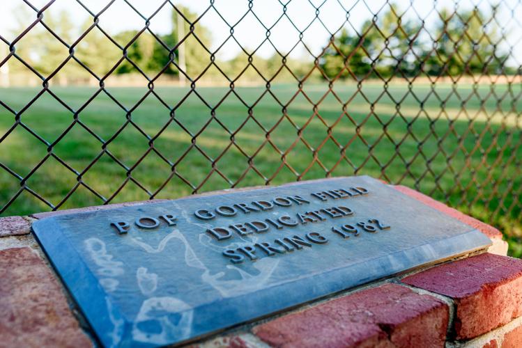 Proposal to expand cricket facilities at Mickie Gordon Park ‘paused ...
