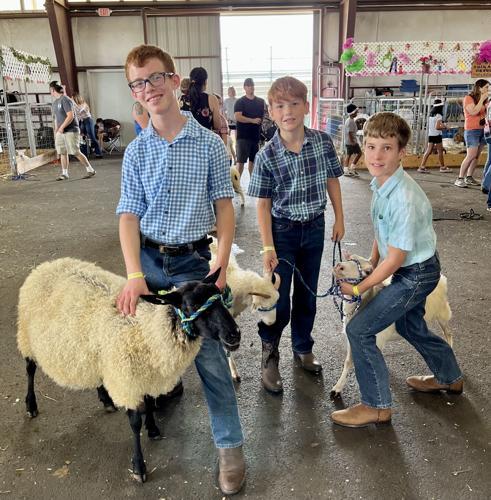 Loudoun County Fair opens Tuesday in Leesburg | Entertainment ...