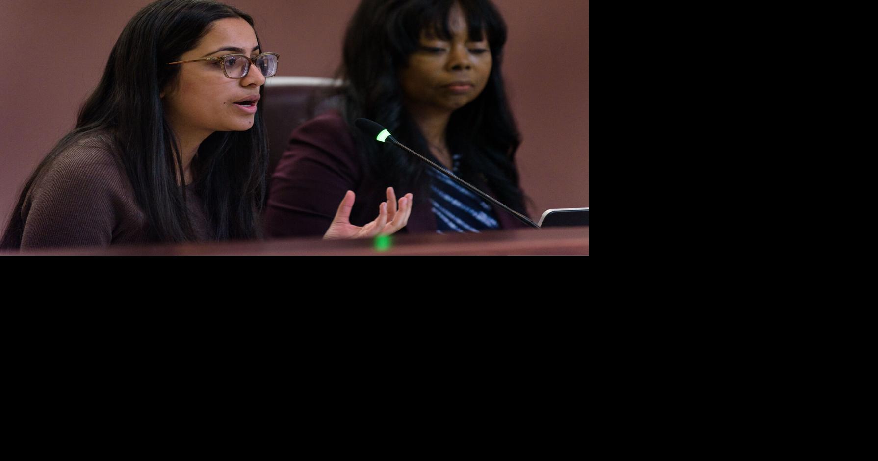 Young people lend their perspective on county government | News ...