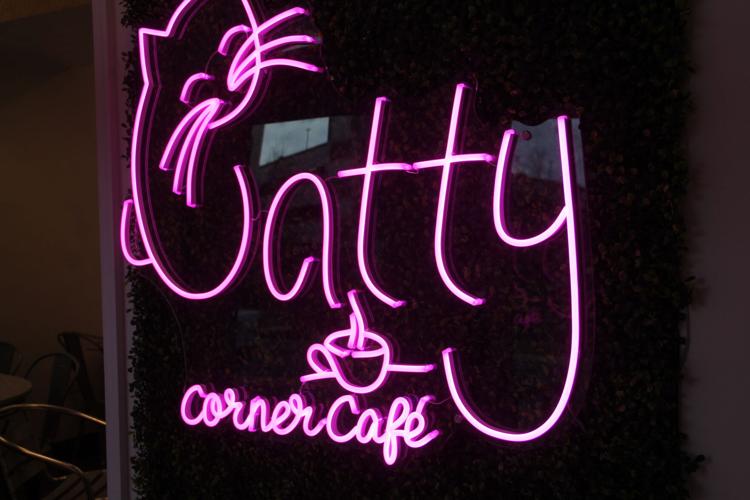 For feline foodies, Catty Corner Cafe is purr-fect | News ...