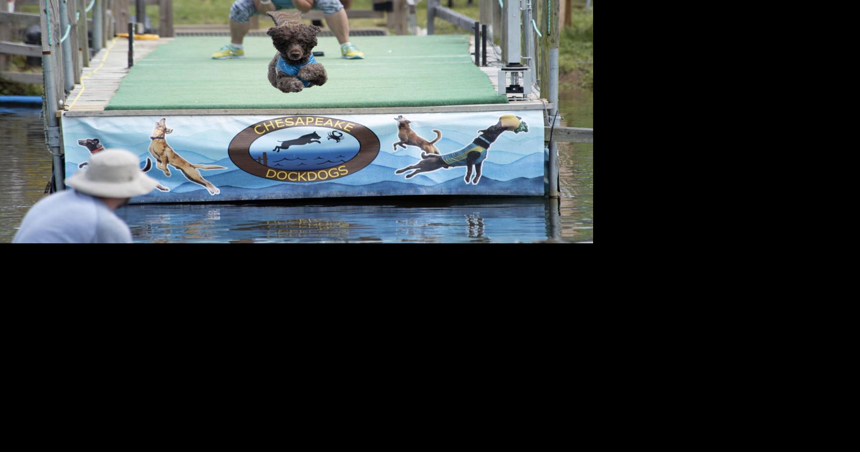 DockDogs event makes a big splash with national qualifier event | News ...