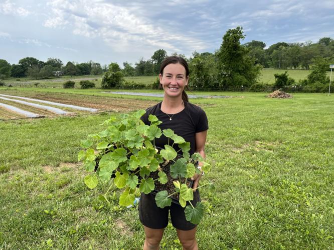 JK Community Farm launches growing season with volunteer plant-a-thon ...