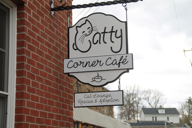 For feline foodies, Catty Corner Cafe is purr-fect | News ...